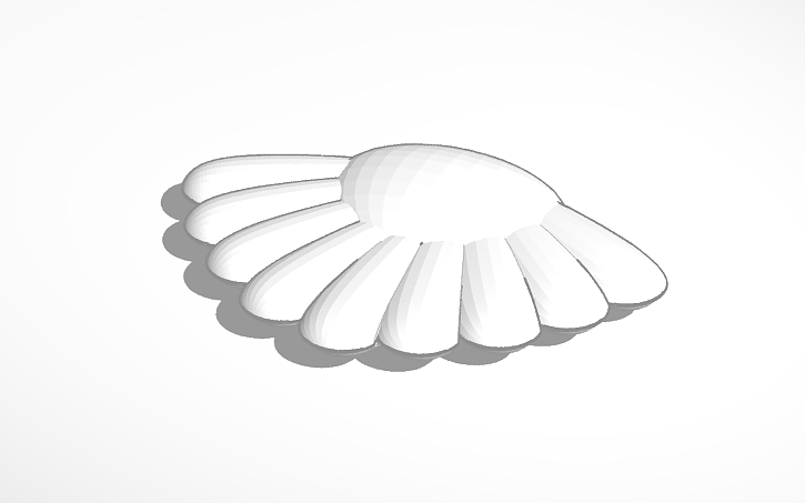 3D design How to Create a Clam Shell - Tinkercad