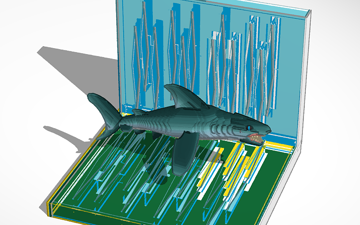 3D design Shark Week - Tinkercad