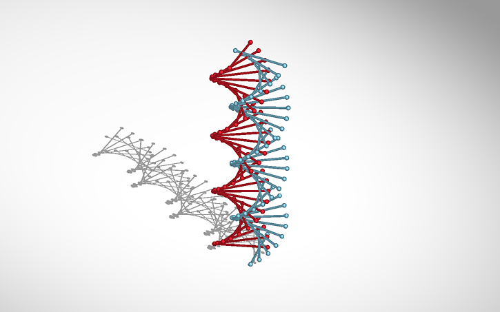 3D design DNA Structure - Tinkercad