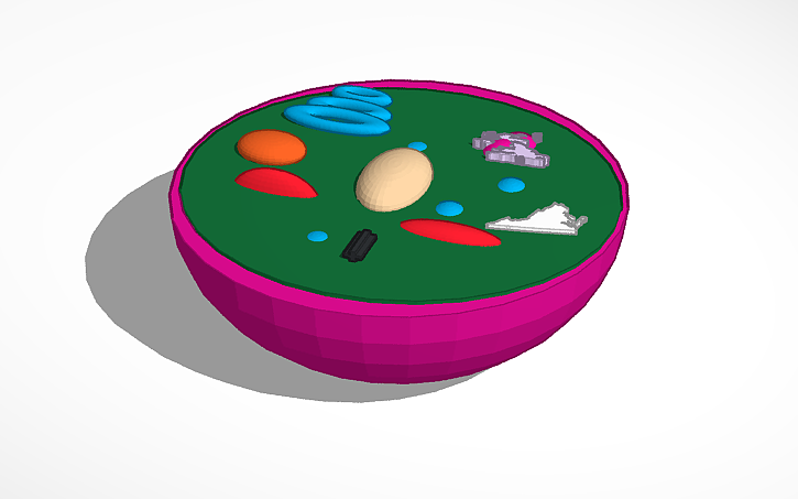 3D design Animal Cell- Thomas McCaffrey | Tinkercad