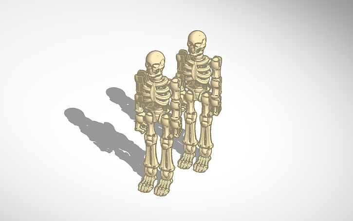 3D design skeleton Comparison | Tinkercad
