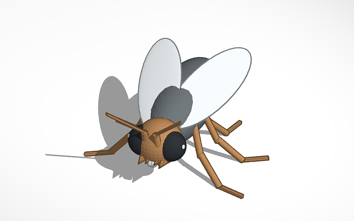 3D design beetle - Tinkercad