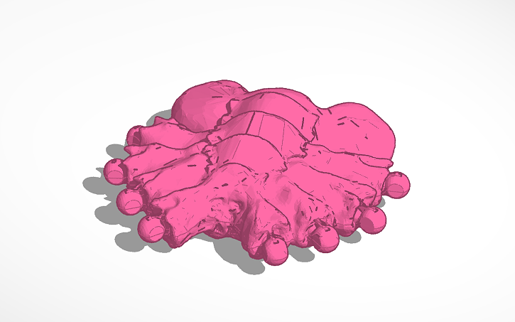 3D design Face Hugger Whole Body - Tinkercad