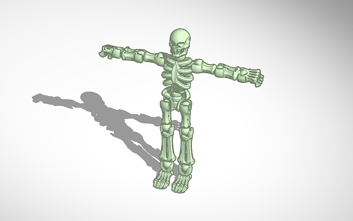 3D design skeleton - Tinkercad