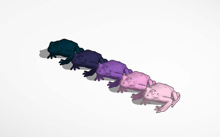3D design frogs - Tinkercad