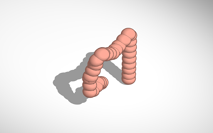 3D design INTESTINO GRUESO - Tinkercad