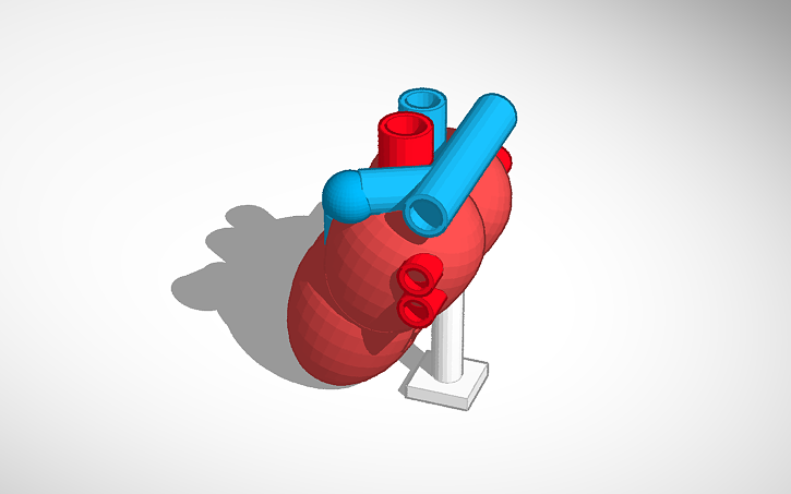 3D design heart - Tinkercad