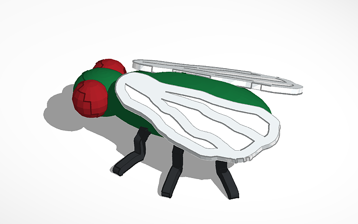 3D design Fly - Tinkercad