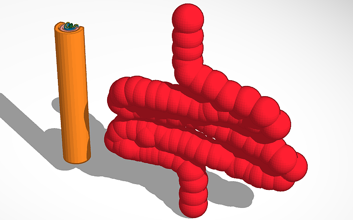 3D design Small Intestine - Tinkercad