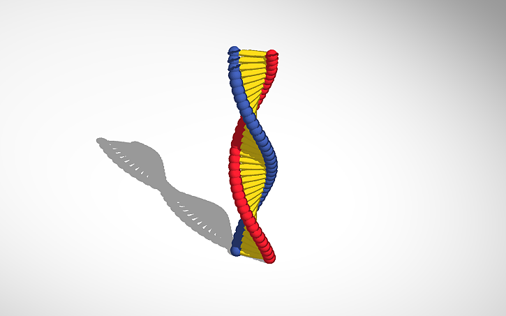 3D design DNA - Tinkercad