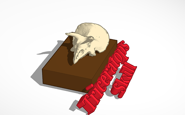 3D design Triceratops Skull | Tinkercad