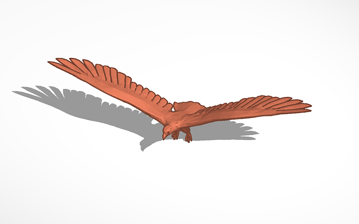 3D design Eagle - Tinkercad