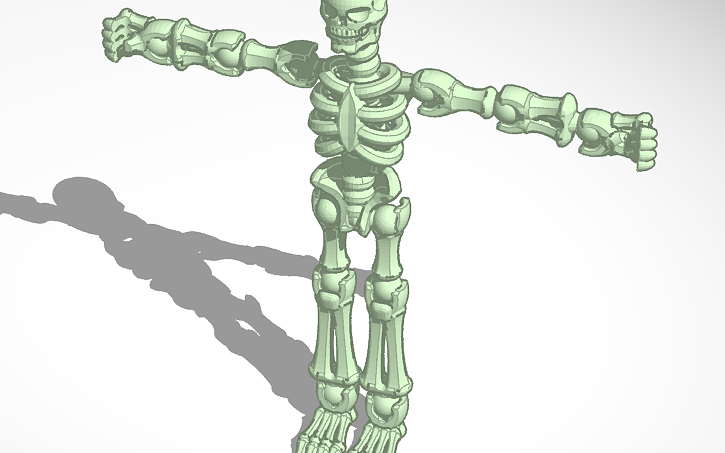 3D design skeleton T pose - Tinkercad