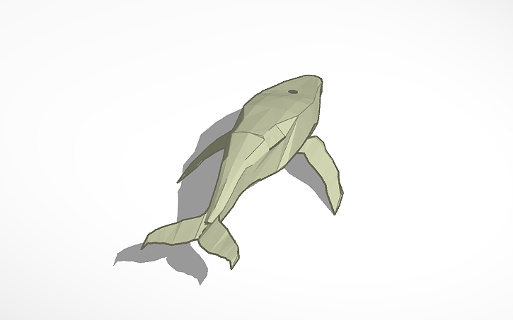 3D design whale - Tinkercad