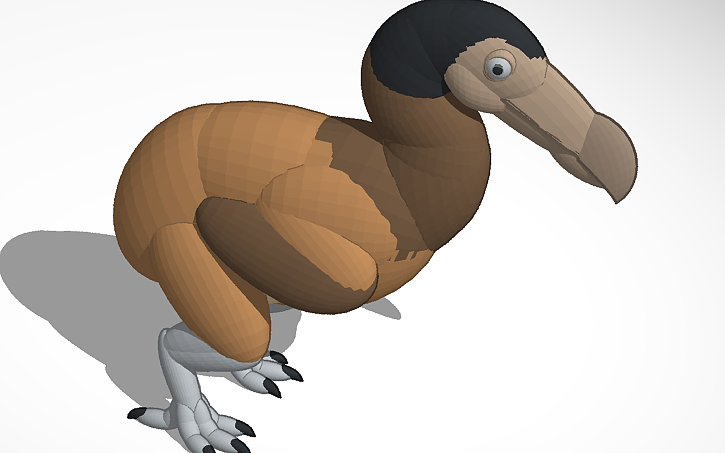 3D design dodo - Tinkercad