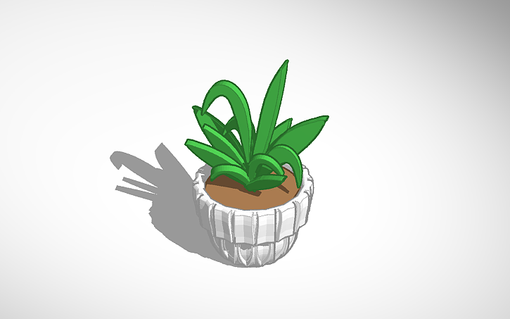 3D design Plant - Tinkercad