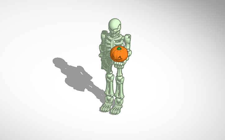 3D design Skeleton - Tinkercad