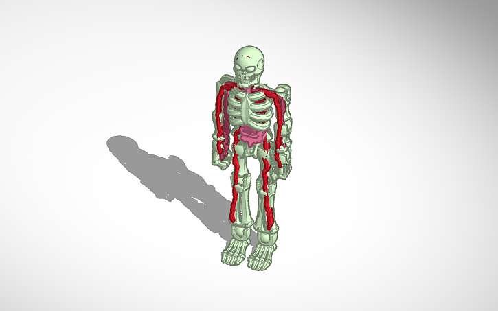3D design da body | Tinkercad