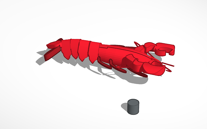 3D design Lobster Project | Tinkercad