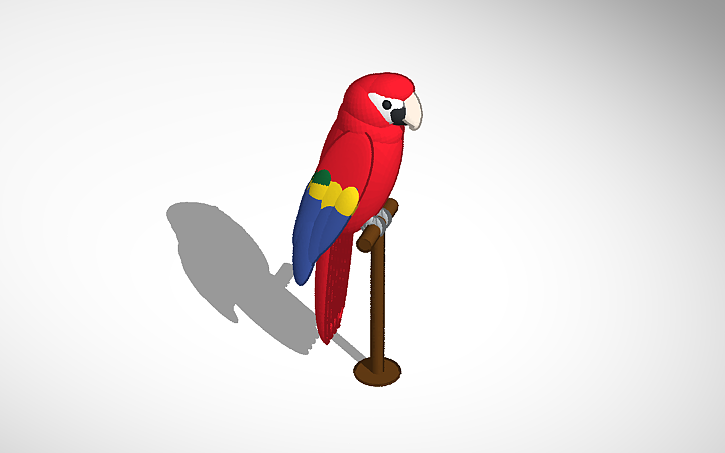 3D design Scarlet macaw - Tinkercad