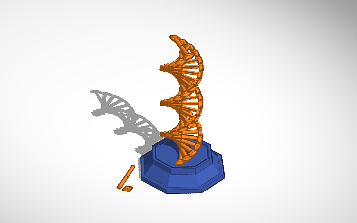 3D design Double Helix so I don't fail Biology lmao - Tinkercad