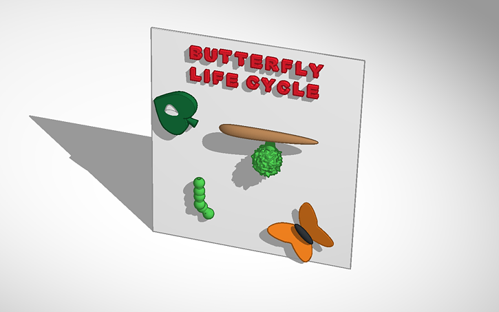 3D design Butterfly Life Cycle - Tinkercad