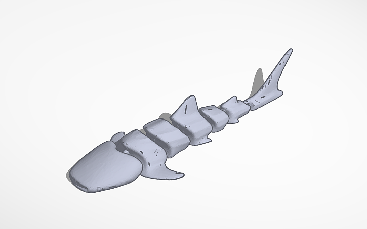 3D design Shark - Tinkercad