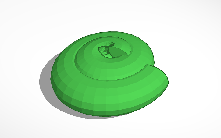 3D design sea shell - Tinkercad