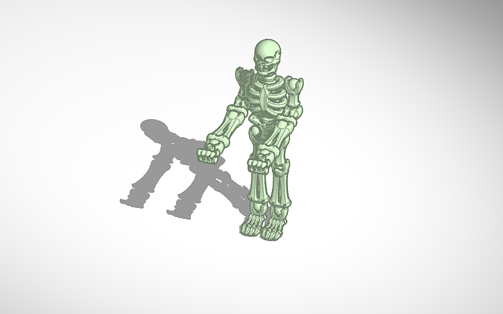 3D design Human skeleton | Tinkercad