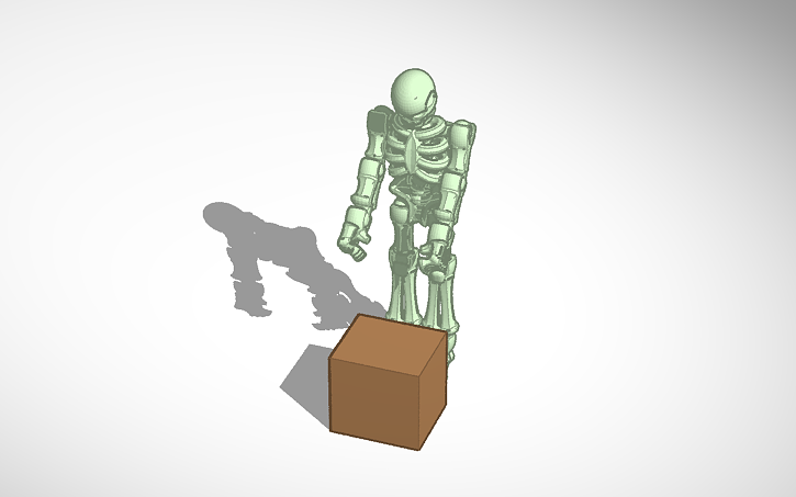 3D design skeleton | Tinkercad