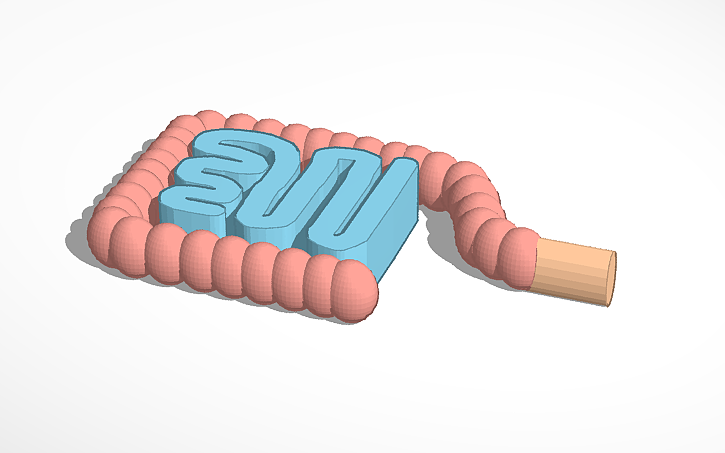 3D design Intestines - Tinkercad