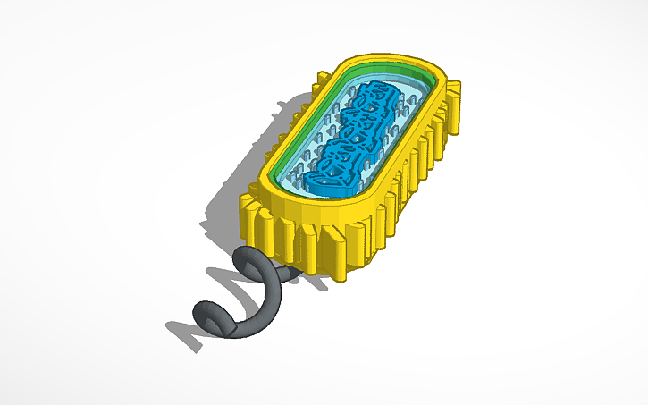 3D design 3D Prokaryotic Cell - Tinkercad