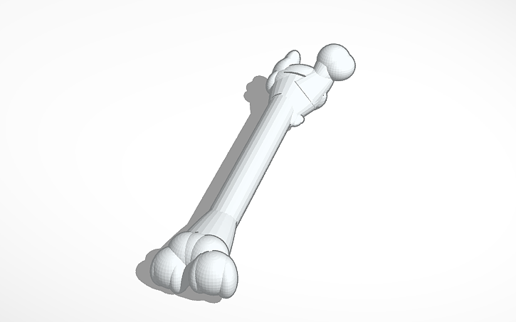3D design Femur - Tinkercad