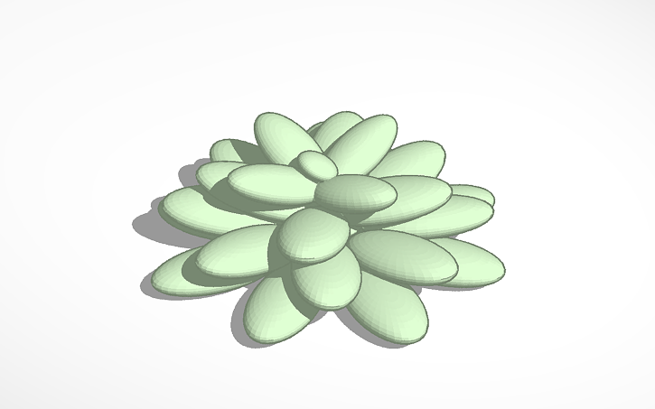 3D design Succulent - Tinkercad
