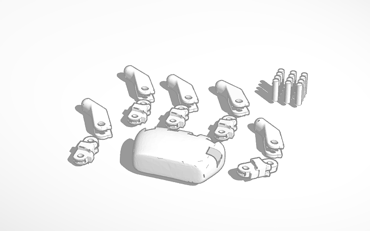 3D design Hand Model - Tinkercad