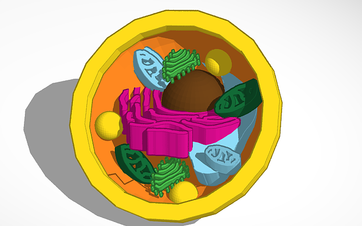 3D design cell - Tinkercad
