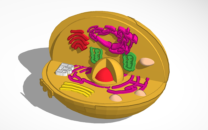 3D design animal cell - Tinkercad