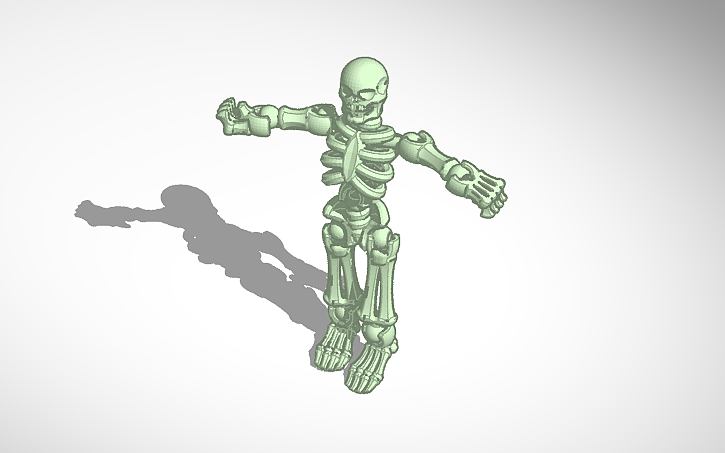 3D design Skeleton - Tinkercad