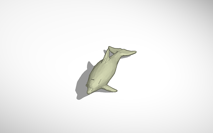 3D design PC Dolphin | Tinkercad