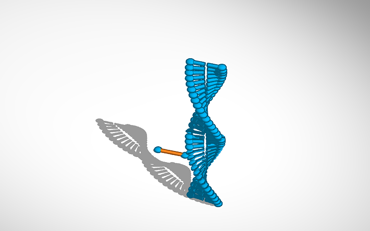 3D design DNA | Tinkercad
