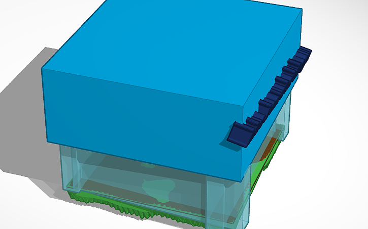 3D design blue bearded dragin cage - Tinkercad