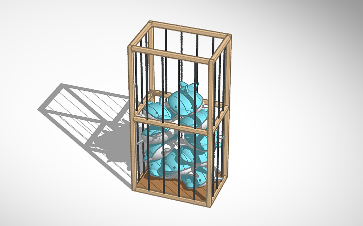 3D design Derly Cages - Tinkercad