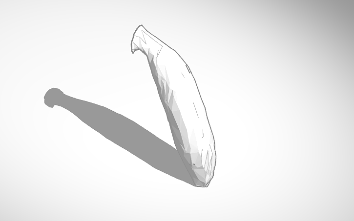 3D design Horse tail | Tinkercad