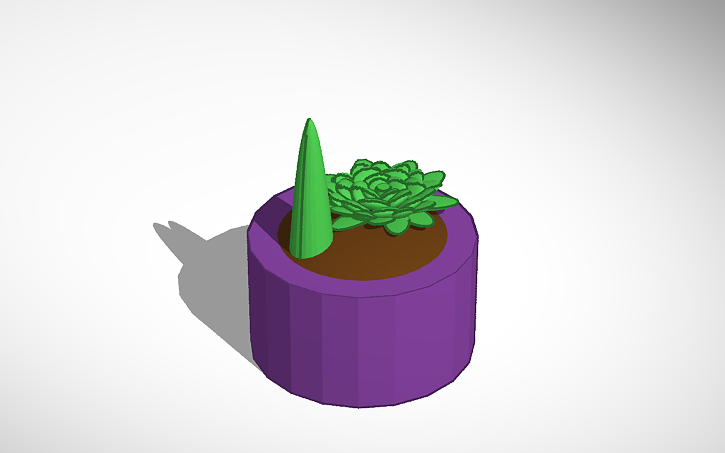 3D design edgy succulent pot - Tinkercad