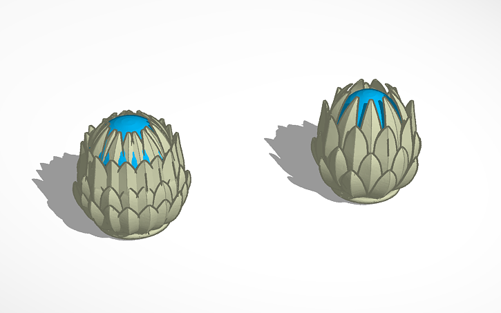 3D design Pitcher's thistle, Cirsium pitcheri - Tinkercad