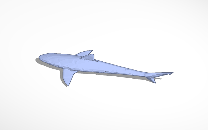 3D design Shark - Tinkercad