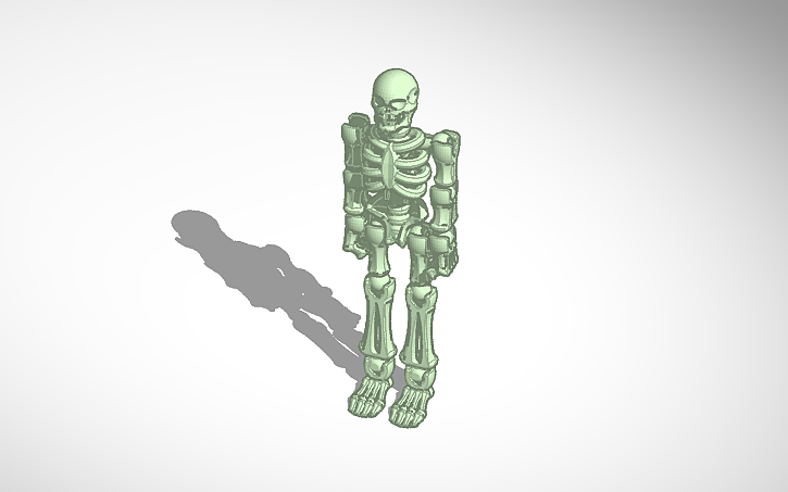 3D design Skeleton - Tinkercad