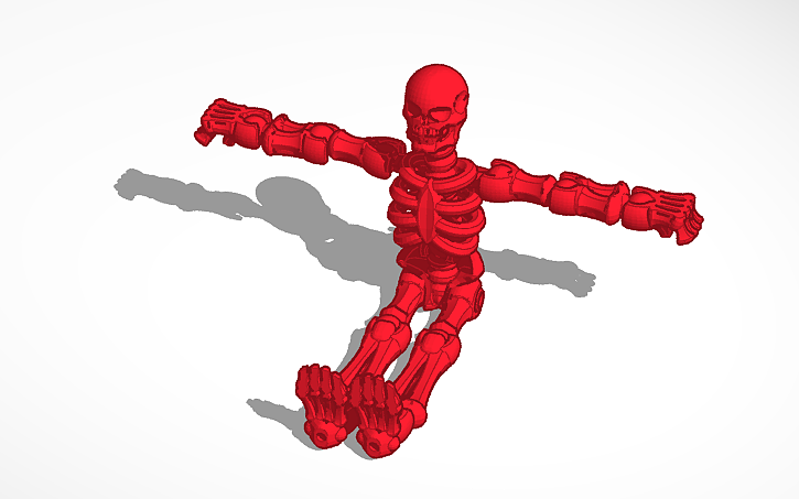 3D design My skeleton | Tinkercad