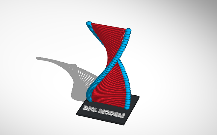 3D design DNA MODELİ | Tinkercad