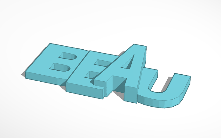 3D design Copy of Beau-3D Model - Tinkercad